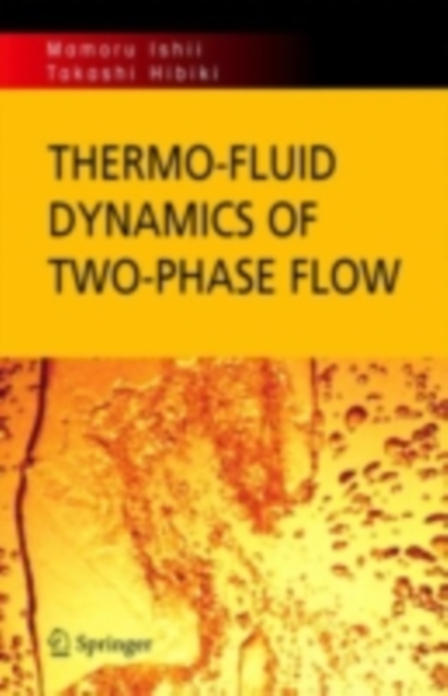 Thermo-fluid Dynamics of Two-Phase Flow: Mamoru Ishii: 9780387291871 ...