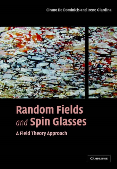 Random Fields and Spin Glasses : A Field Theory Approach: Cirano de ...