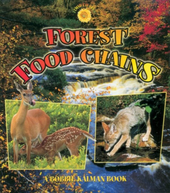 Forest Food Chains: Bobbie Kalman: 9780778719892: hive.co.uk
