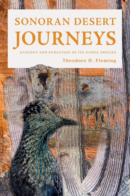 Sonoran Desert Journeys : Ecology and Evolution of Its Iconic Species ...