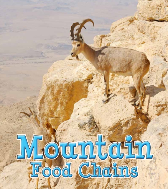 Mountain Food Chains: Angela Royston: 9781406284188: hive.co.uk