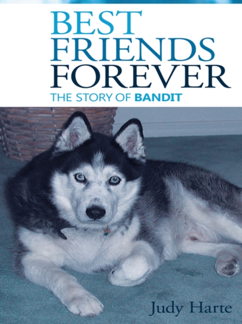 Best Friends Forever : The Story of Bandit: Judy Harte: 9781449750107 ...