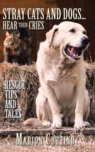Stray Cats and Dogs...Hear Their Cries : Rescue,Tips and Tales: Marion ...