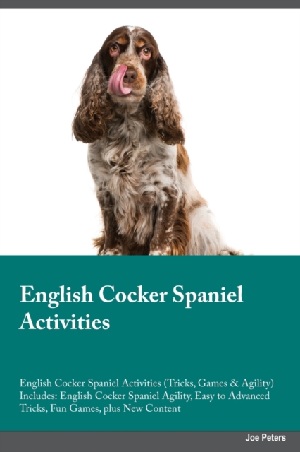 English Cocker Spaniel Activities English Cocker Spaniel Activities ...
