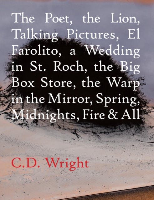 The Poet, The Lion, Talking Pictures, El Farolito, A Wedding in St ...