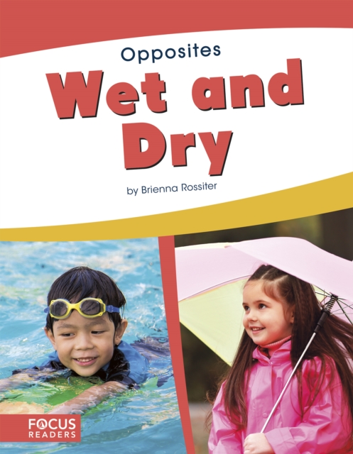 Wet and Dry: Brienna Rossiter: 9781641854108: hive.co.uk