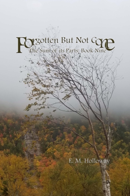 Forgotten But Not Gone : The Sum of its Parts: Book Nine: E M Holloway ...
