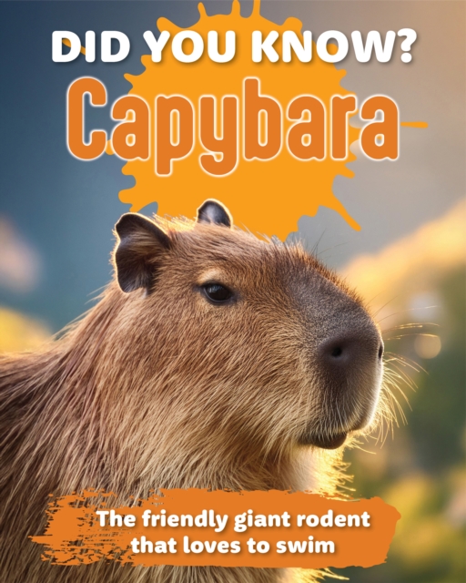 Did You Know? Capybara : The friendly giant rodent that loves to swim ...