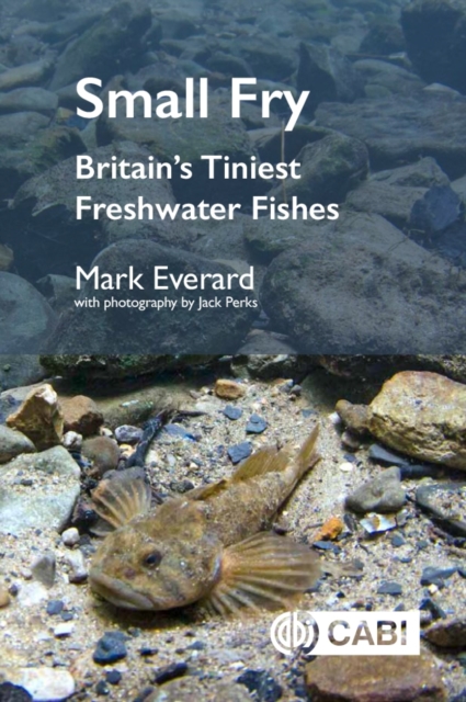 Small Fry : Britain's Tiniest Freshwater Fishes: Mark (University of ...