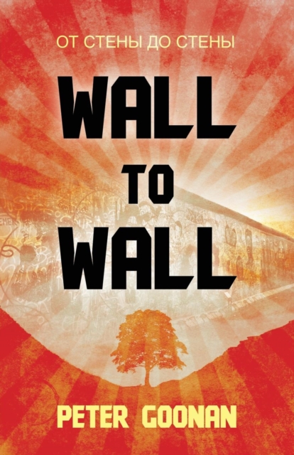 Wall to wall: Peter Goonan: 9781912183579: hive.co.uk