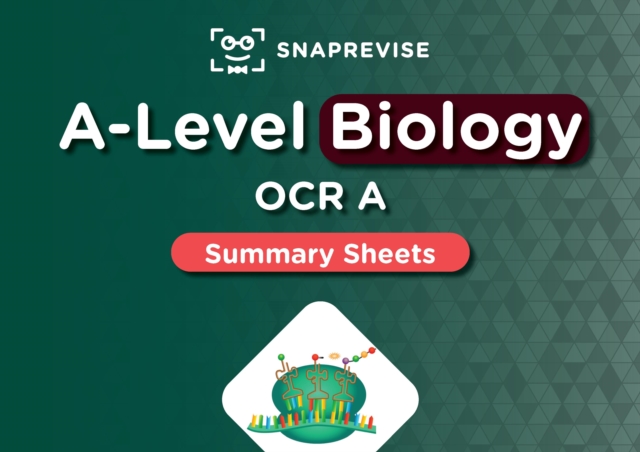 SnapRevise A-Level OCR Biology Summary Sheets: : 9781917424622: hive.co.uk