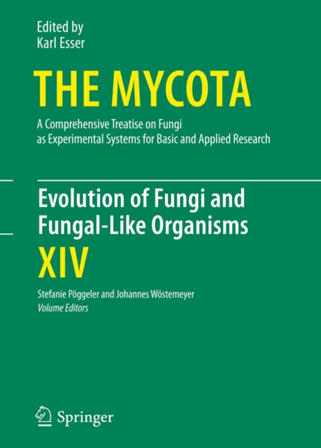 The Evolution of Fungi and Fungal-Like Organisms: : 9783642199745: hive ...